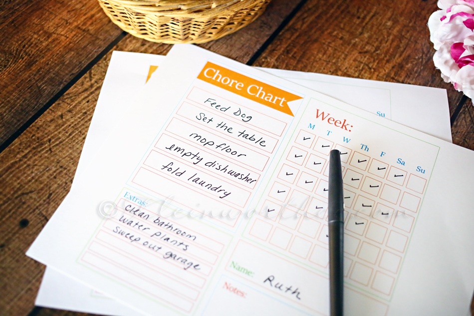 Craftaholics Anonymous® | Back to School Organization Tips